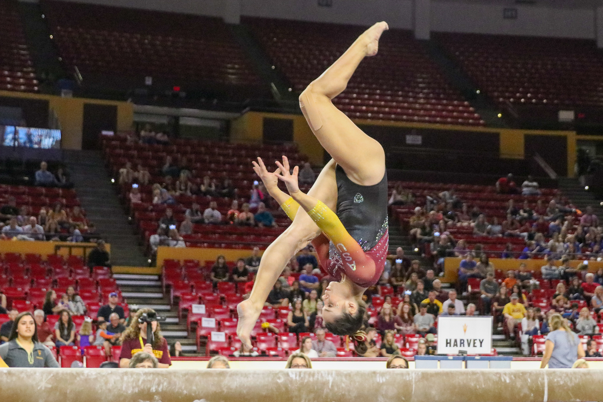 ASU Gymnastics GALLERY: Sun Devils honor seniors with win over Pitt ...